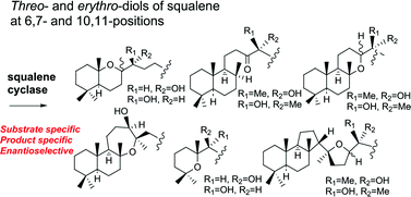 Enzymatic cyclizations of squalene analogs with threo- and erythro ...