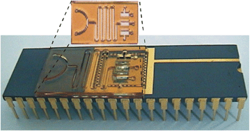 A lab-on-a-chip for spectrophotometric analysis of biological fluids ...