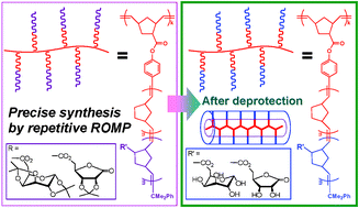 Precise synthesis of poly(macromonomer)s containing sugars by ...