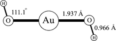 Infrared spectrum and structure of the gold dihydroxide molecule ...