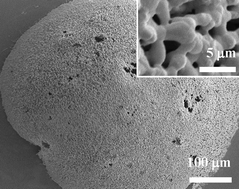 Fabrication of silver porous frameworks using poly(ethyleneimine ...