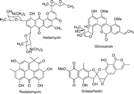 Type II polyketide synthases: gaining a deeper insight into enzymatic ...
