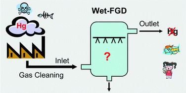 Using Wet-FGD systems for mercury removal - Journal of Environmental ...