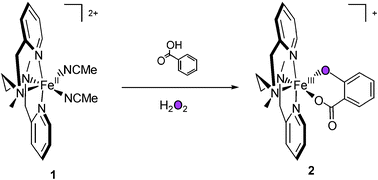 ortho-Hydroxylation of benzoic acids with hydrogen peroxide at a non ...