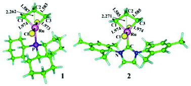 α,β-(C–C–C) Agostic bonds in transition metal based olefin metathesis ...
