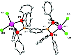 Oligodentate P,N ligands: N,N,N′,N′-tetrakis(diphenylphosphanyl)-1,3 ...