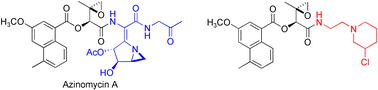 Design and synthesis of a DNA-crosslinking azinomycin analogue ...