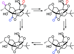 Lactone-free ginkgolides via regioselective DIBAL-H reduction - Organic ...