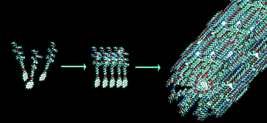 Encapsulation of pyrene within self-assembled peptide amphiphile ...