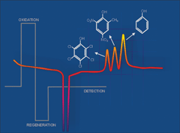 Pulsed amperometric detection with poly(dimethylsiloxane)-fabricated ...
