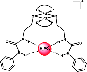 A di-palladium urea complex as a molecular receptor for anions ...