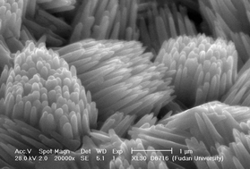 Single crystal tin nano-rod arrays electrodeposited by a soft template ...