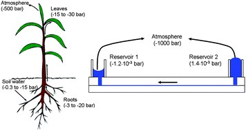 Water in micro- and nanofluidics systems described using the water ...