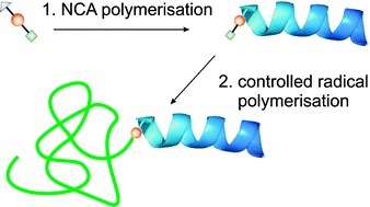 Synthesis of polypeptide based rod–coil block copolymers - Chemical ...