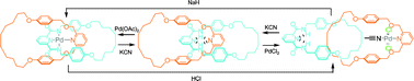 Half-rotation in a [2]catenane via interconvertible Pd(ii) coordination ...