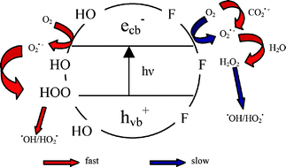 H2O2 evolution during the photocatalytic degradation of organic ...