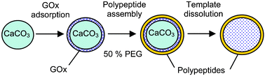 High-capacity functional protein encapsulation in nanoengineered ...