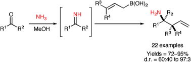 Diastereoselective allylation and crotylation of N-unsubstituted imines ...