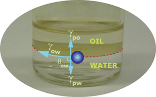 The water/oil interface: the emerging horizon for self-assembly of ...