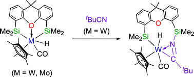 Group 6 metal complexes with a hemilabile tridentate xantsil ligand and ...