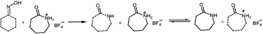 Clean Beckmann rearrangement of cyclohexanone oxime in caprolactam ...