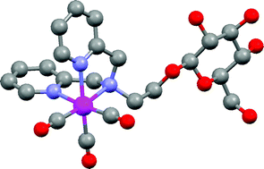 Metal complexes in medicinal chemistry: new vistas and challenges in ...