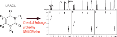 Determining chemical exchange rates of the uracil labile protons by NMR ...