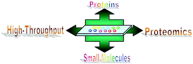 Protein and small molecule microarrays: powerful tools for high ...