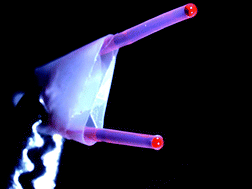 Capillary inserts in microcirculatory systems - Lab on a Chip (RSC ...