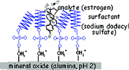 Hemimicelle-based solid-phase extraction of estrogens from ...
