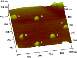 One-step synthesis and AFM imaging of hydrophobic LDH monolayers ...