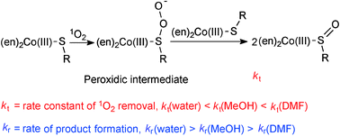 Photooxidation of Co-thiolato complexes in protic and aprotic solvents ...