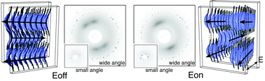 Intralayer molecular orientation in the B1 phase of a prototype bent ...