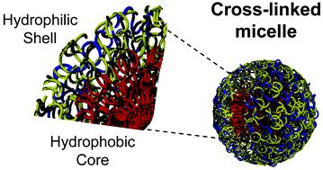 Cross-linked block copolymer micelles: functional nanostructures of ...