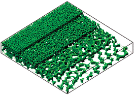 Autocatalytic phase separation and graded co-continuous morphology ...
