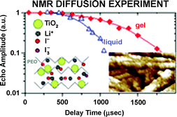 Morphology, ionic diffusion and applicability of novel polymer gel ...