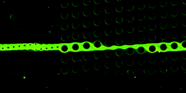 Critical particle size for fractionation by deterministic lateral ...