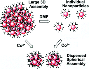 From large 3D assembly to highly dispersed spherical assembly: weak and ...