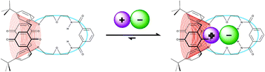 Cooperative AND receptor for ion-pairs - Chemical Communications (RSC ...