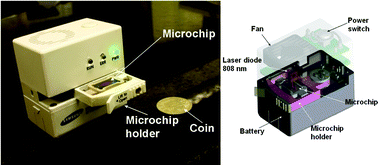 Microchip-based one step DNA extraction and real-time PCR in one ...