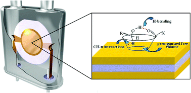 Molecular recognition at the gas–solid interface: a powerful tool for ...