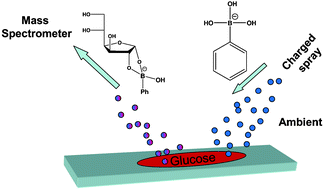cis-Diol functional group recognition by reactive desorption ...