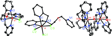 Mono- and binuclear complexes of iron(ii) and iron(iii) with an N4O ...