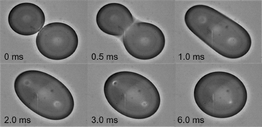 Timing controllable electrofusion device for aqueous droplet-based ...