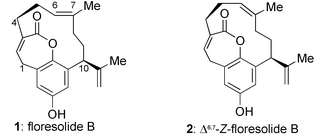 Total synthesis of floresolide B and Δ6,7-Z-floresolide B - Chemical ...