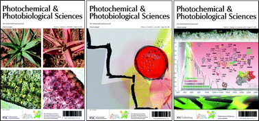 Happy New Year from Photochemical & Photobiological Sciences ...
