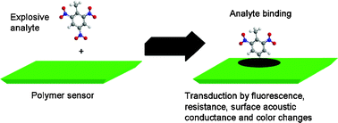 Polymer sensors for nitroaromatic explosives detection - Journal of ...