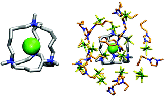 Halide anion solvation and recognition by a macrotricyclic ...