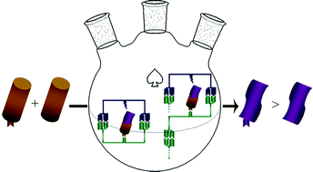 Modulation of the reactivity, stability and substrate- and ...
