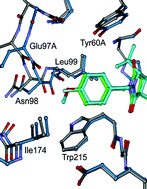 Multipolar interactions in the D pocket of thrombin: large differences ...